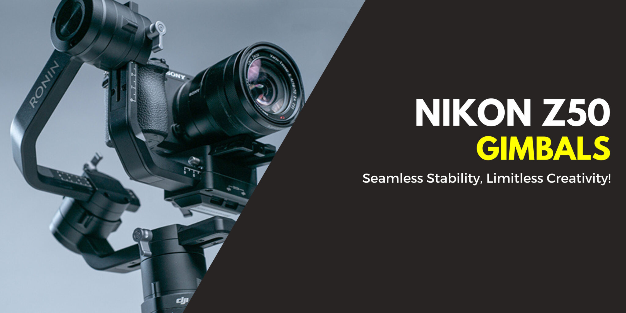 I Reviewed 6 Camera Gimbals in 2025 That Fit Every Cam – CamerasGuy