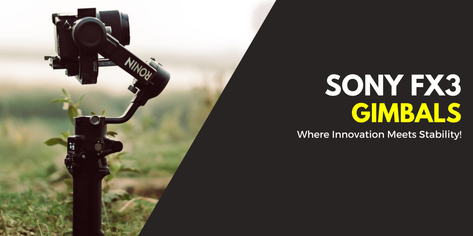 The List of 7 Best Gimbals for Canon R5 in 2025 – CamerasGuy