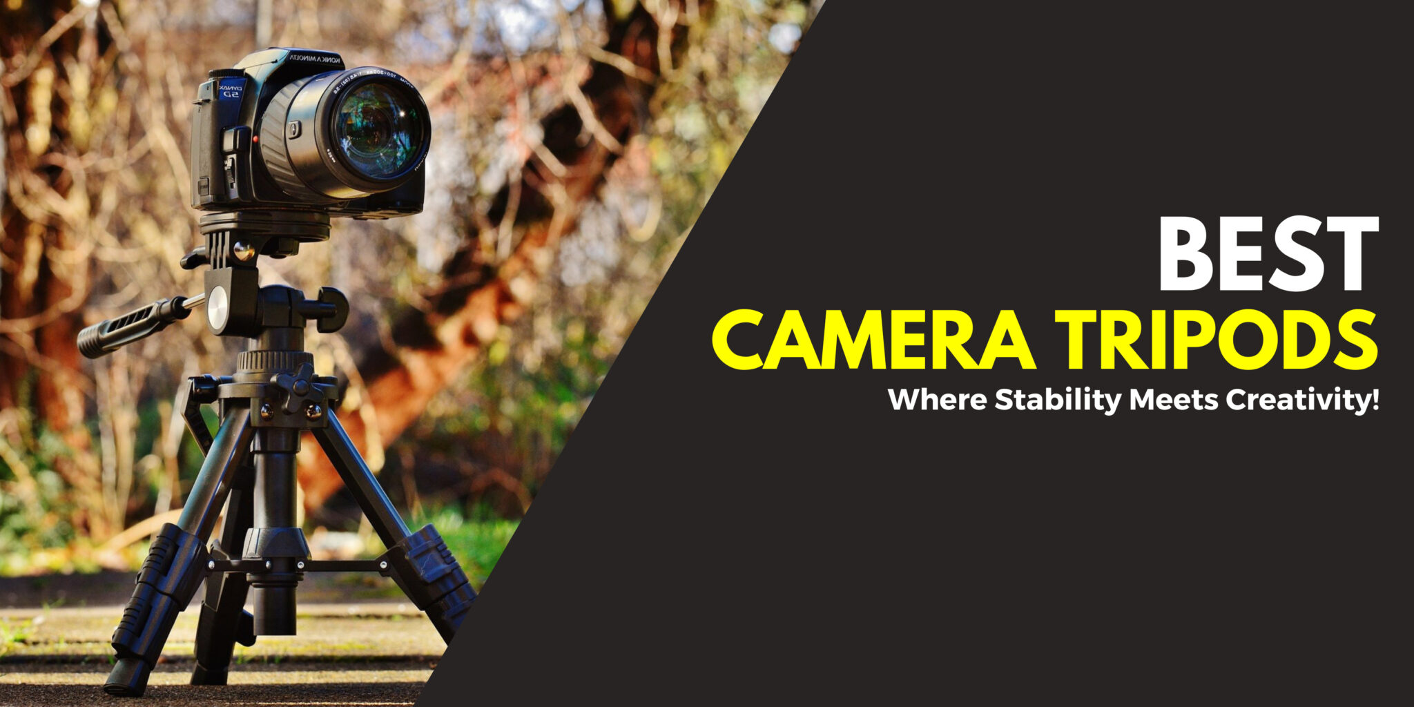 My List of Best Camera Tripods in 2024 - CamerasGuy